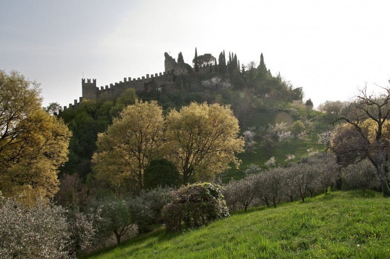 Cose in Comune: Wiki Clic | Bassanonet.it