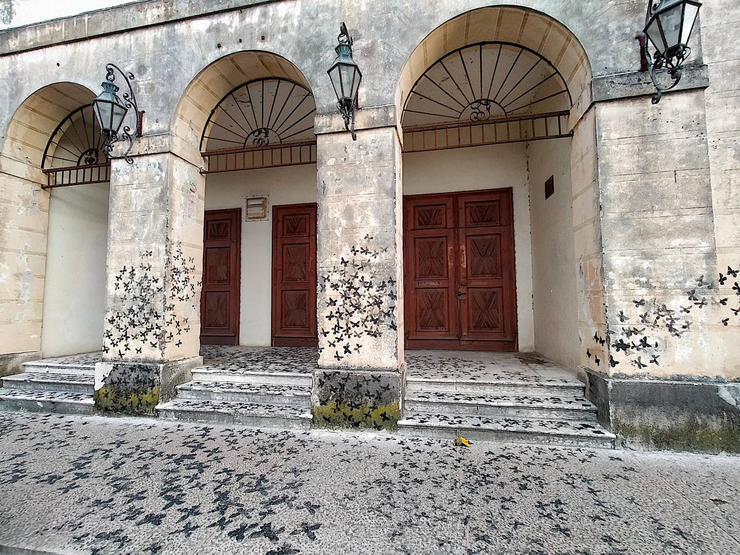 Attualità: Stile Farfalla | Bassanonet.it